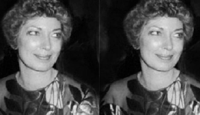 Diane Fawcett Walls Biography, Cause of Death, and Facts About Her Son